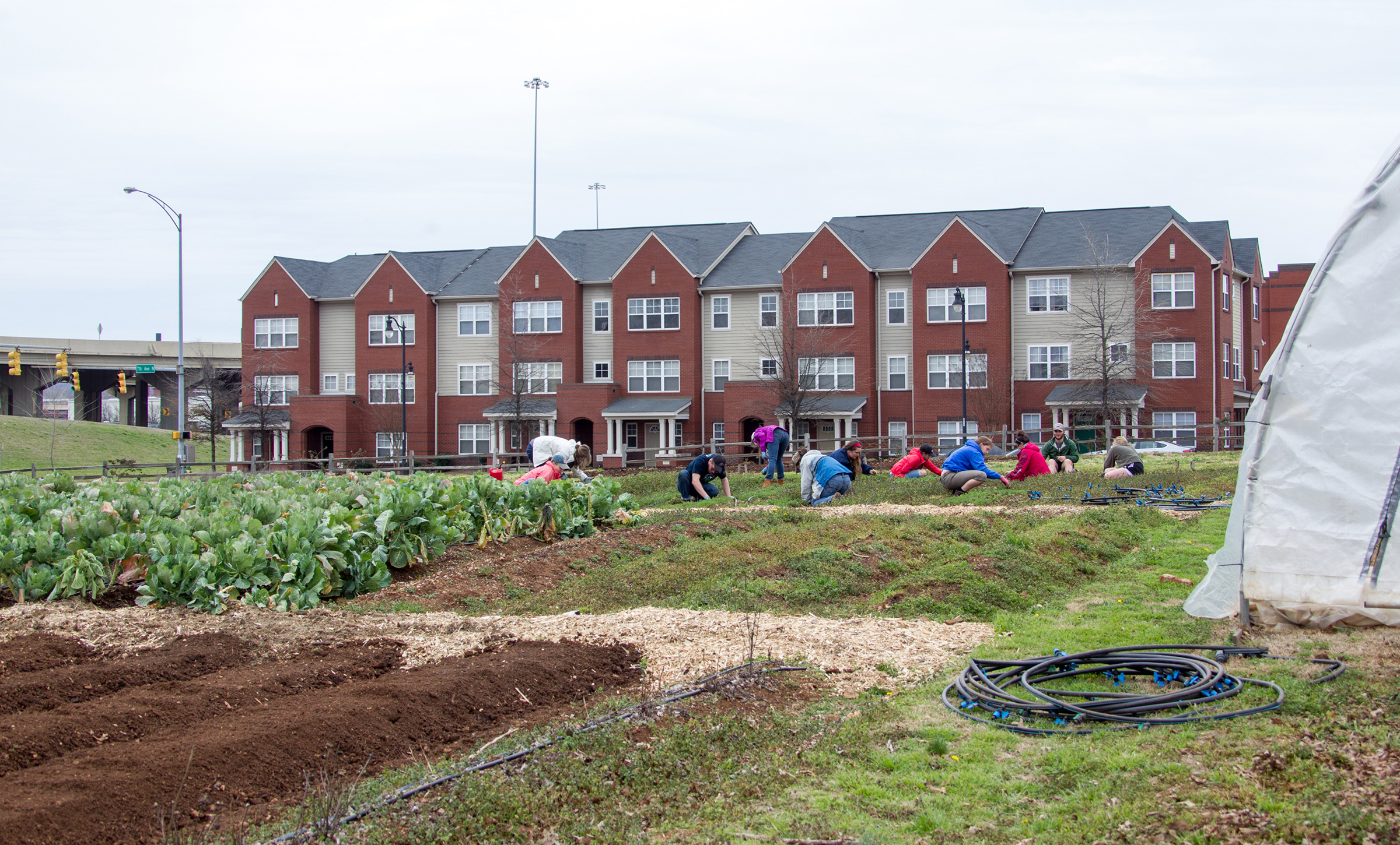 About | Community-Engaged Leadership | Appalachian State University